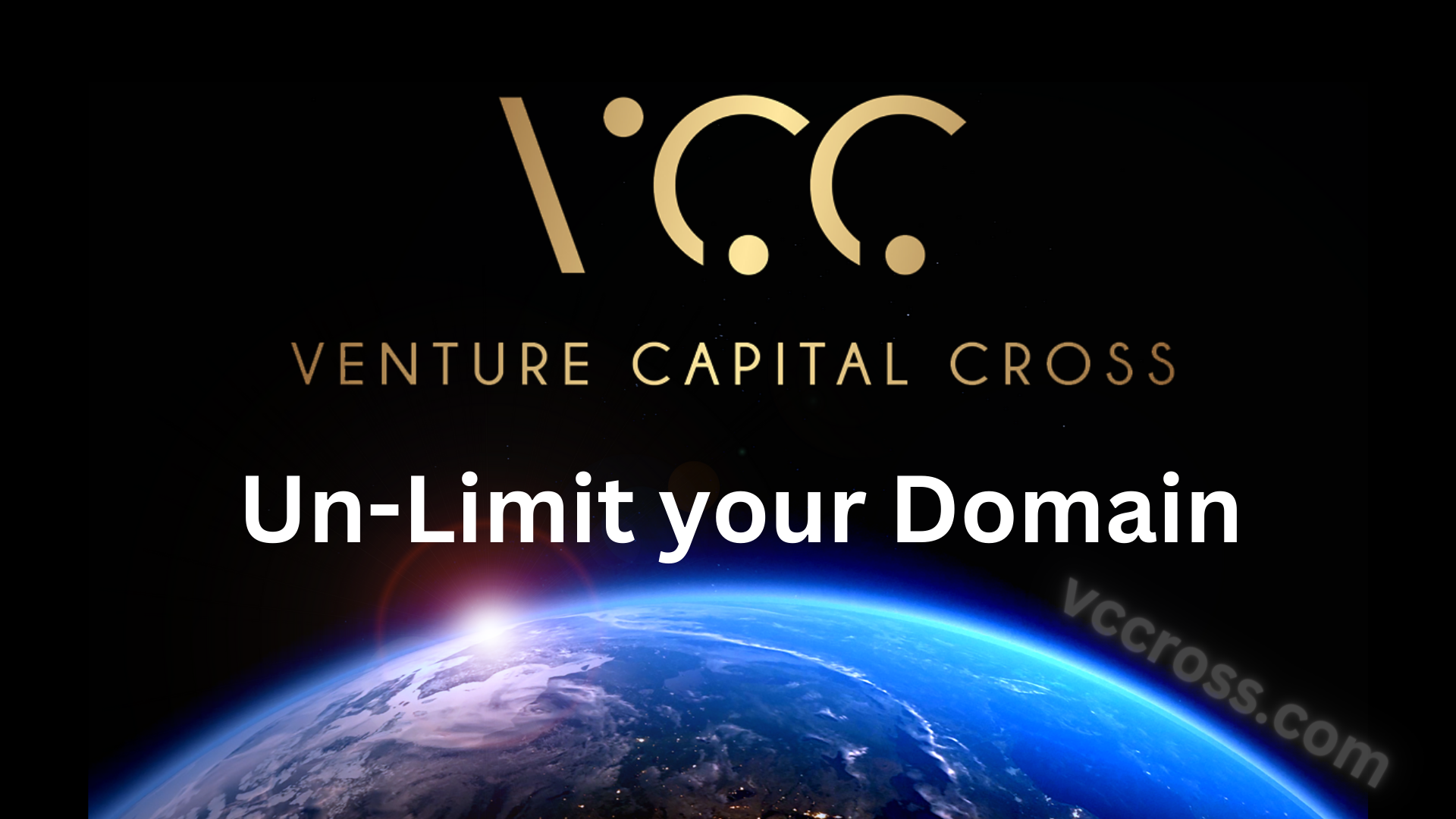 Anthropic: A 2025 Deep-Dive Report - VC Cross Blog - Venture Capital ...